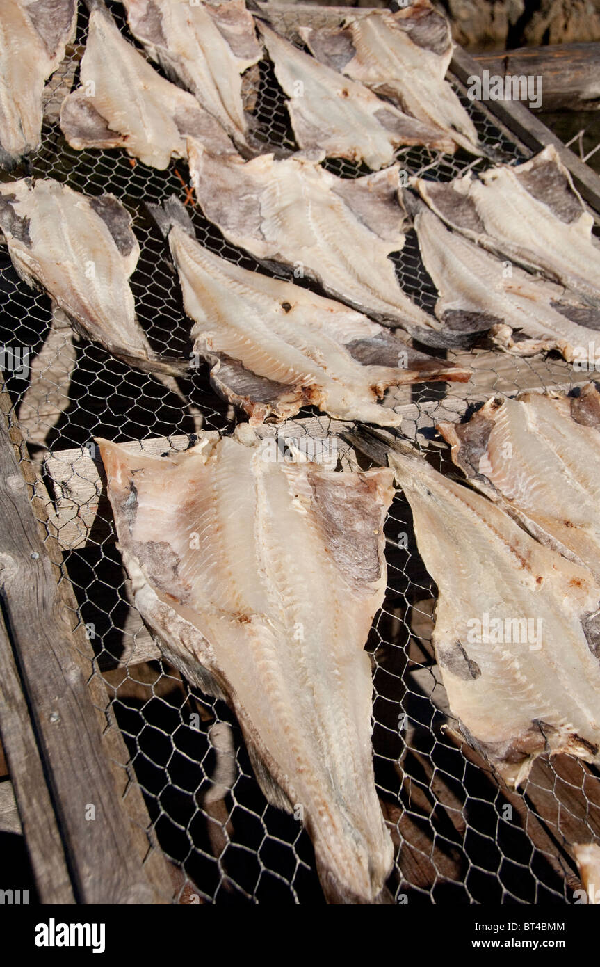 Salt cod drying newfoundland hi-res stock photography and images - Alamy