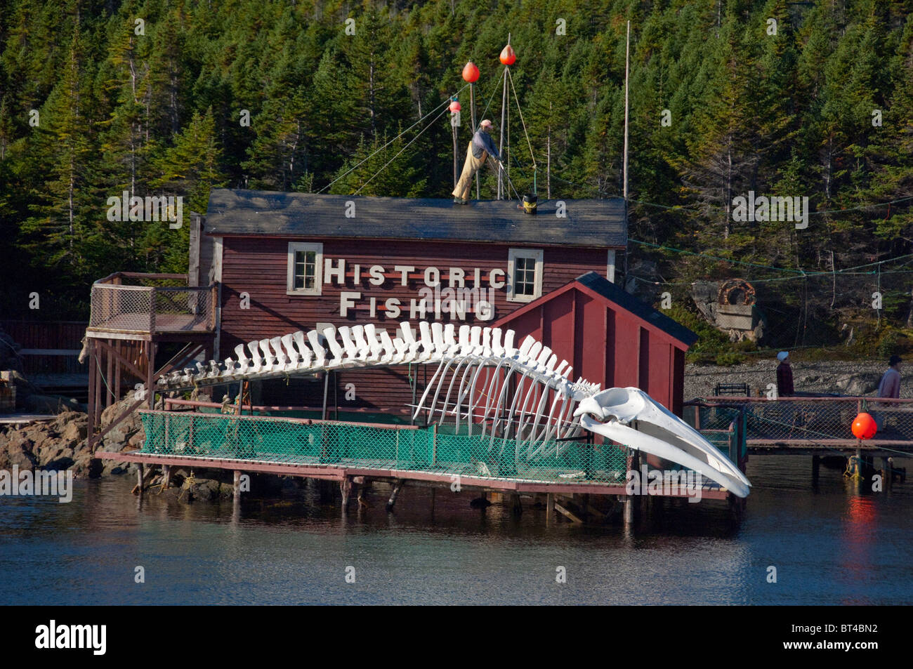 Canada, Newfoundland and Labrador, Twillingate. Prime Berth historic ...