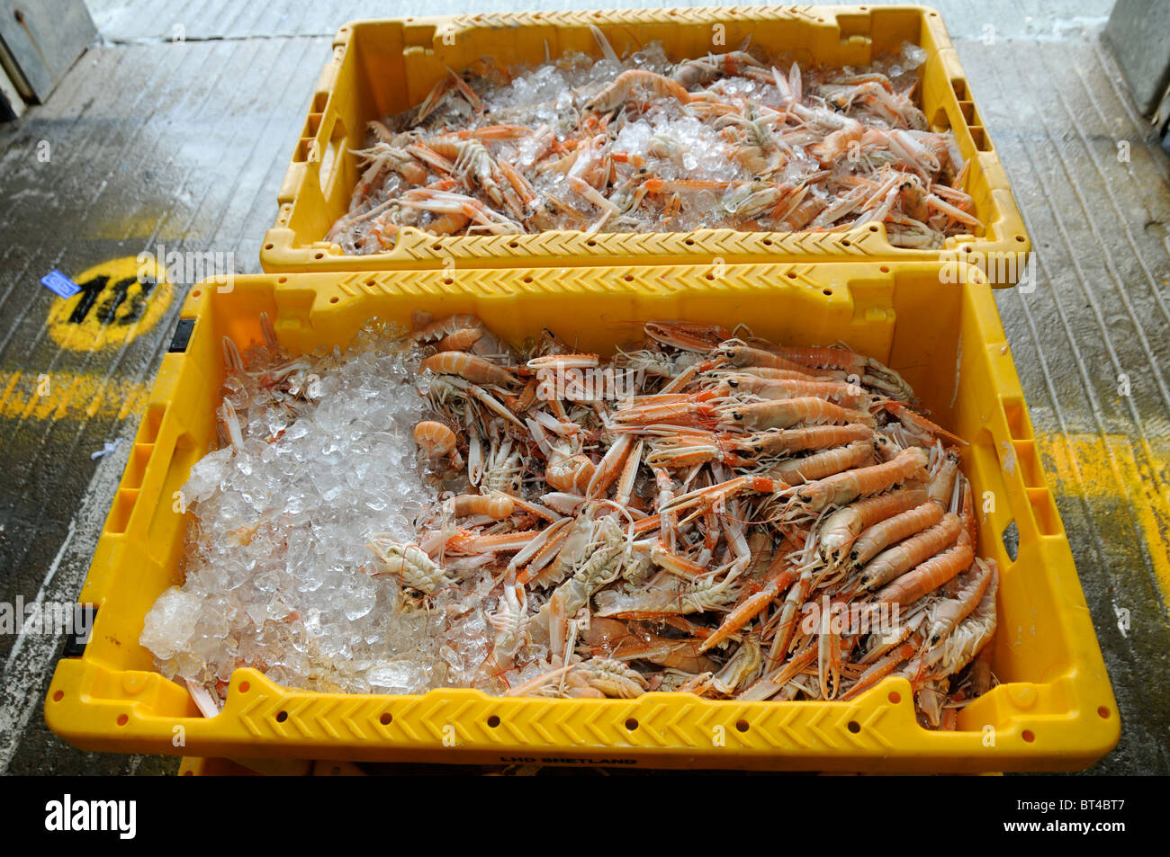 Some of the daily catch at the Fish Market Lerwick Stock Photo - Alamy