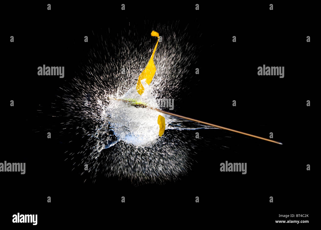 Balloon Bursting Stock Photos & Balloon Bursting Stock Images - Alamy