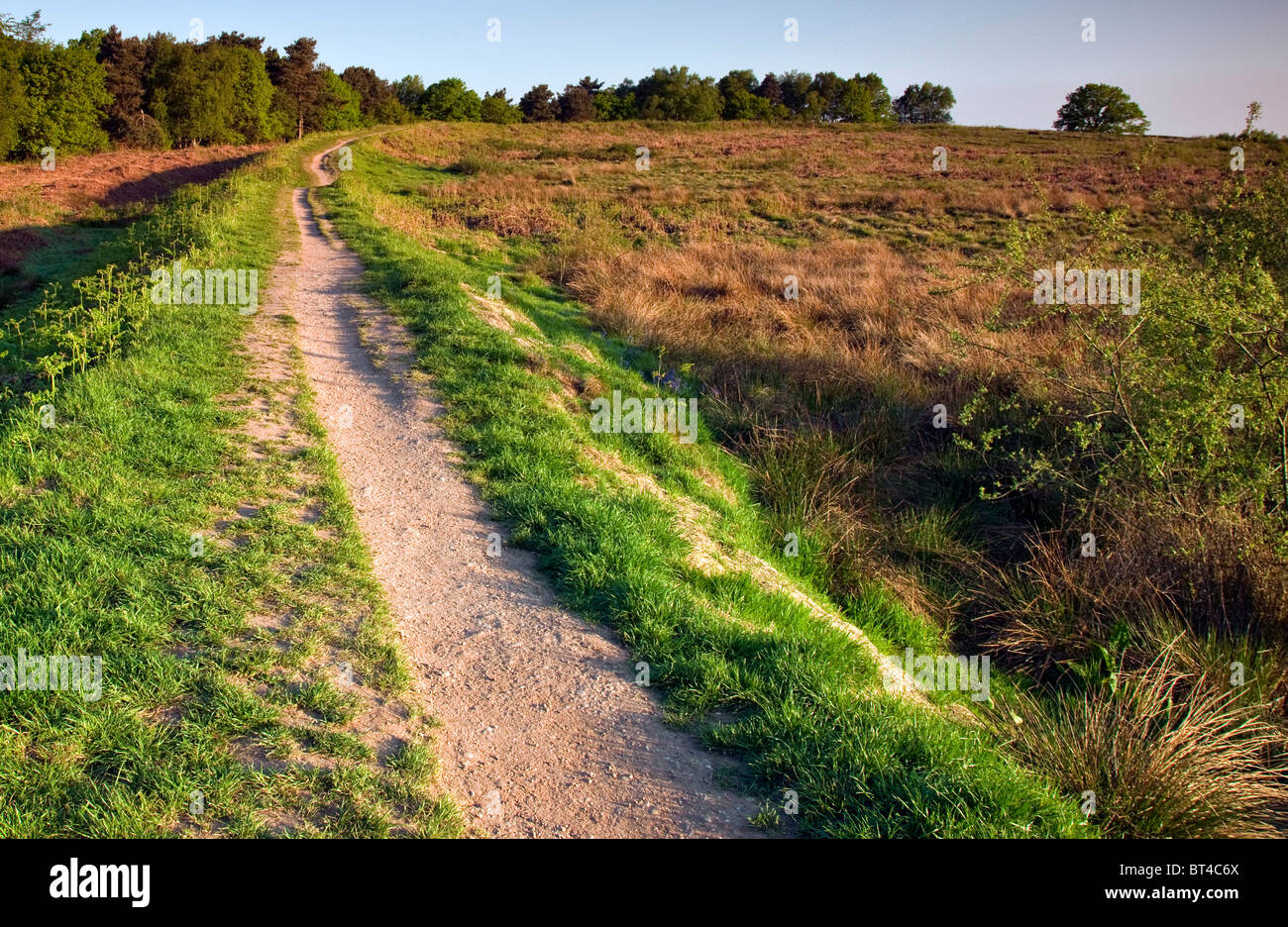 Cannock chase staffordshire iron age hi-res stock photography and ...
