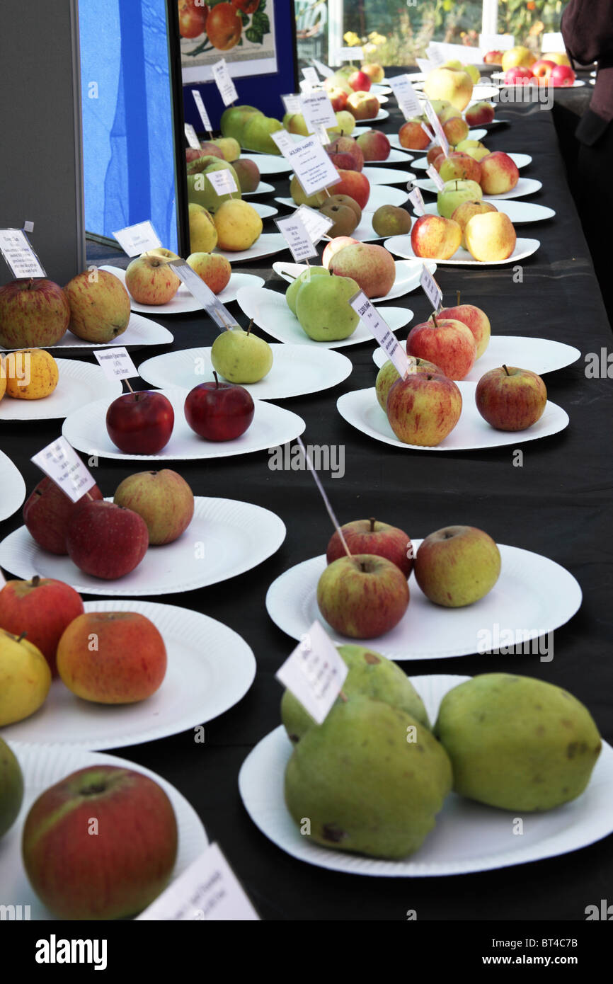 Apple varieties hi-res stock photography and images - Alamy