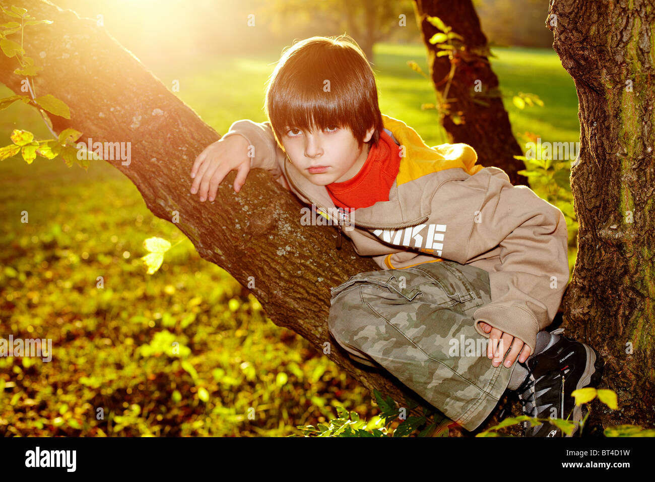 Young boy sitting on a tree Stock Photo - Alamy