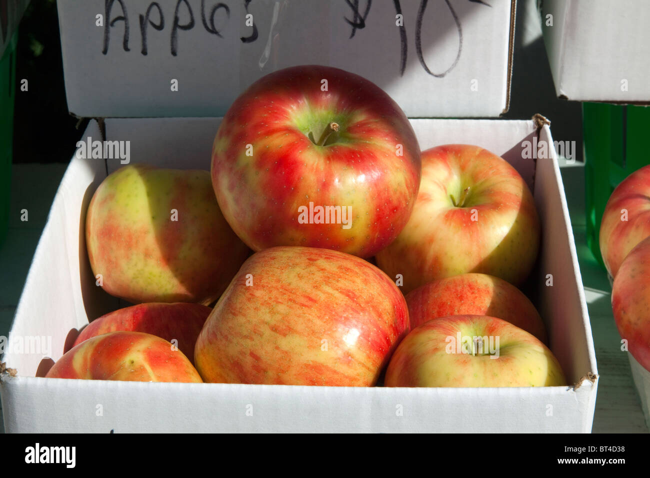 Honeycrisp Apples for sale at Roadside Farm stand Michigan USA, by ...