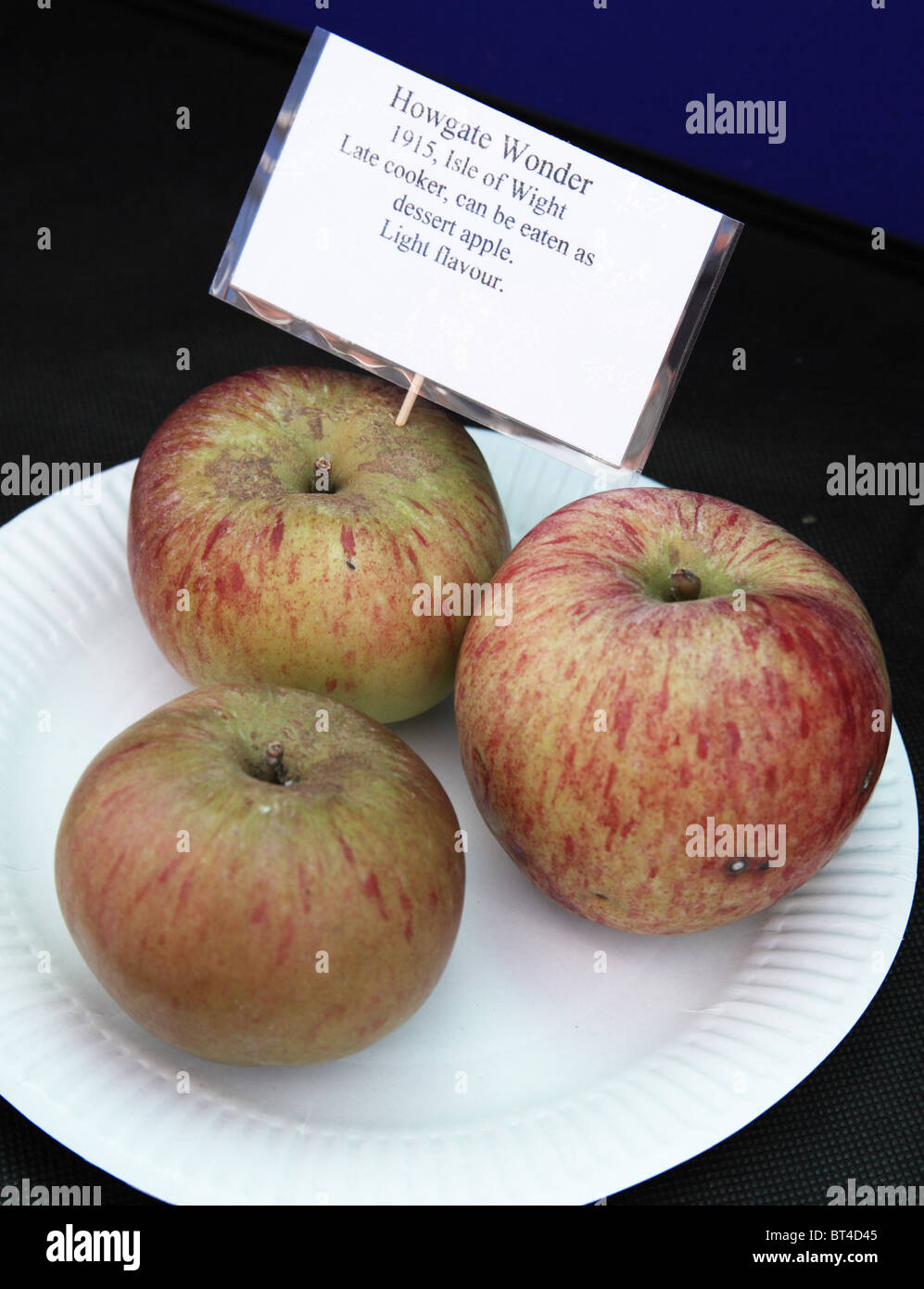 Howgate Wonder Rare Apple Variety Stock Photo - Alamy