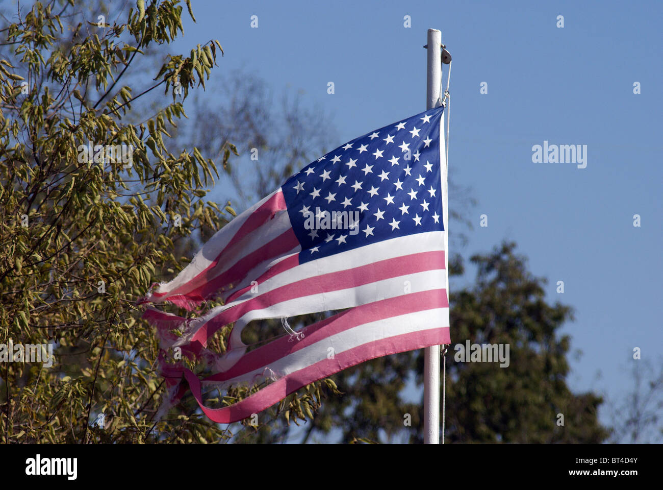 Ripped american flag on pole hi-res stock photography and images - Alamy