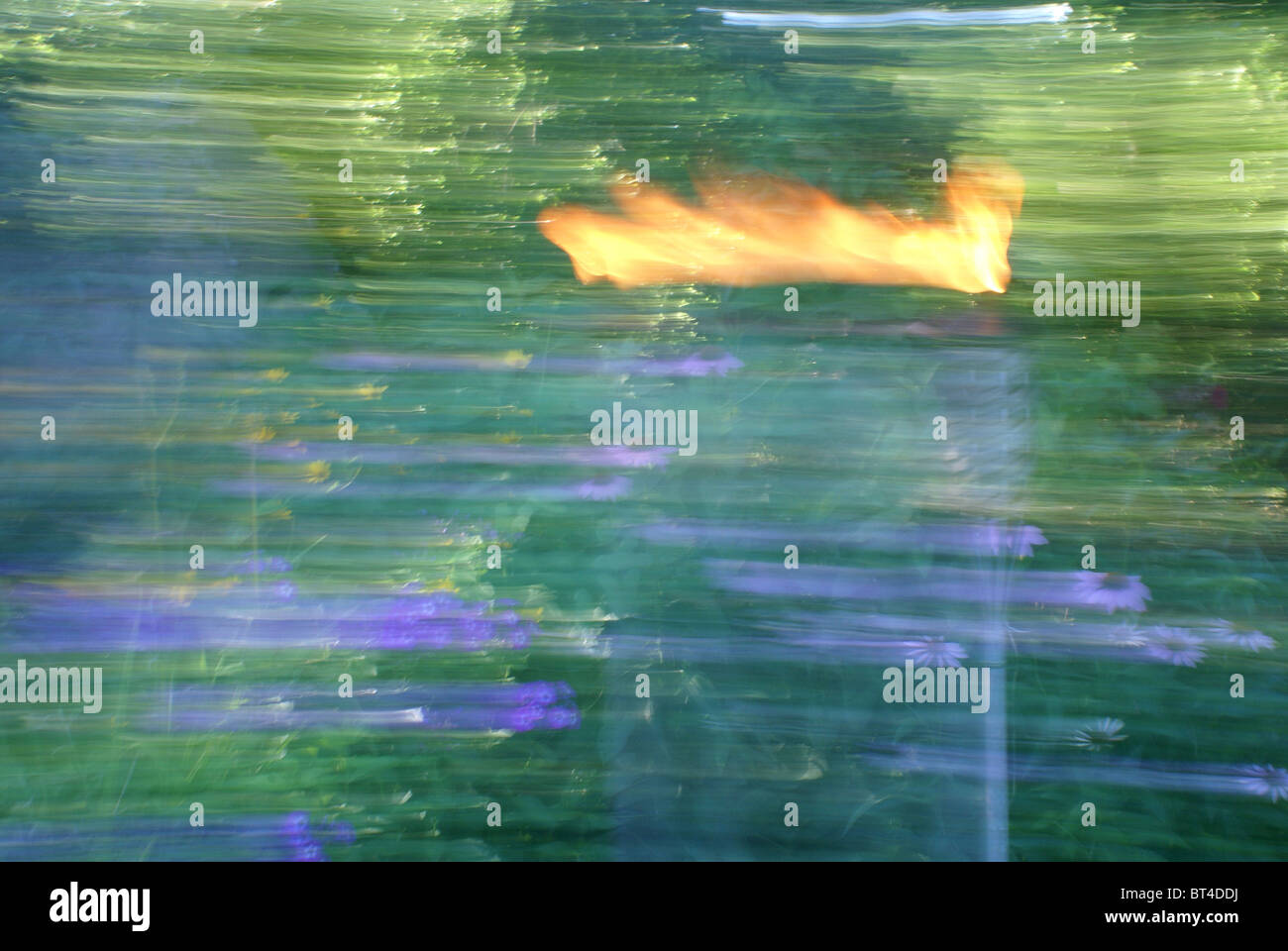 Motion of Wind Blowing Flame and Flowers Stock Photo - Alamy