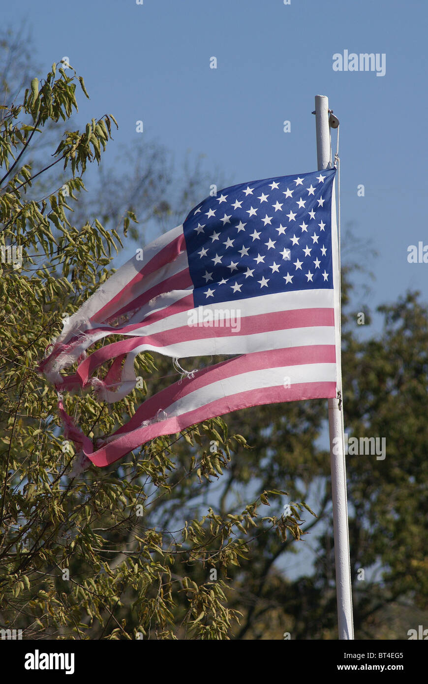 Tattered American Flag Stock Photos & Tattered American Flag Stock ...