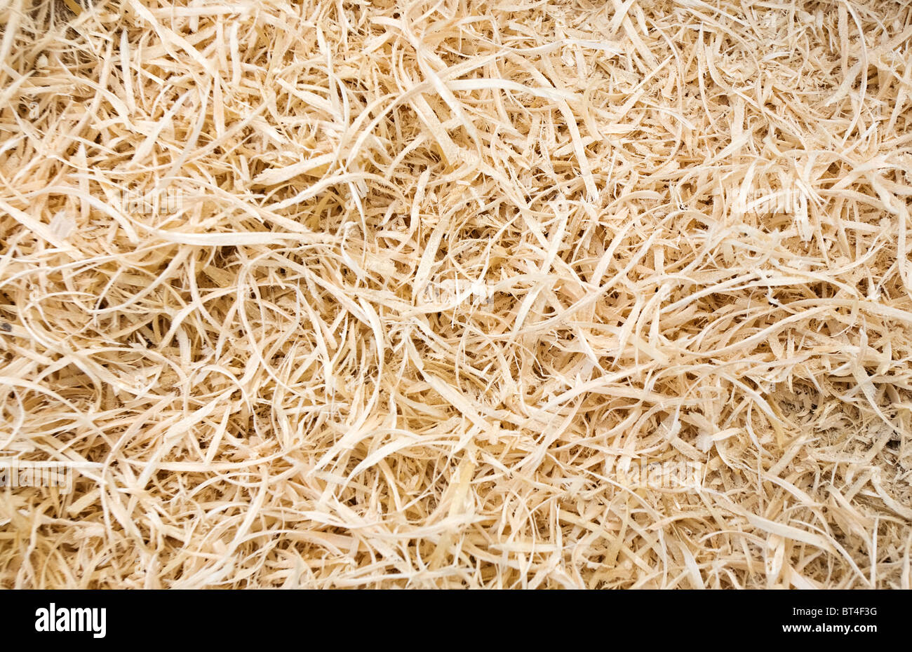 wooden sawdust texture Stock Photo - Alamy