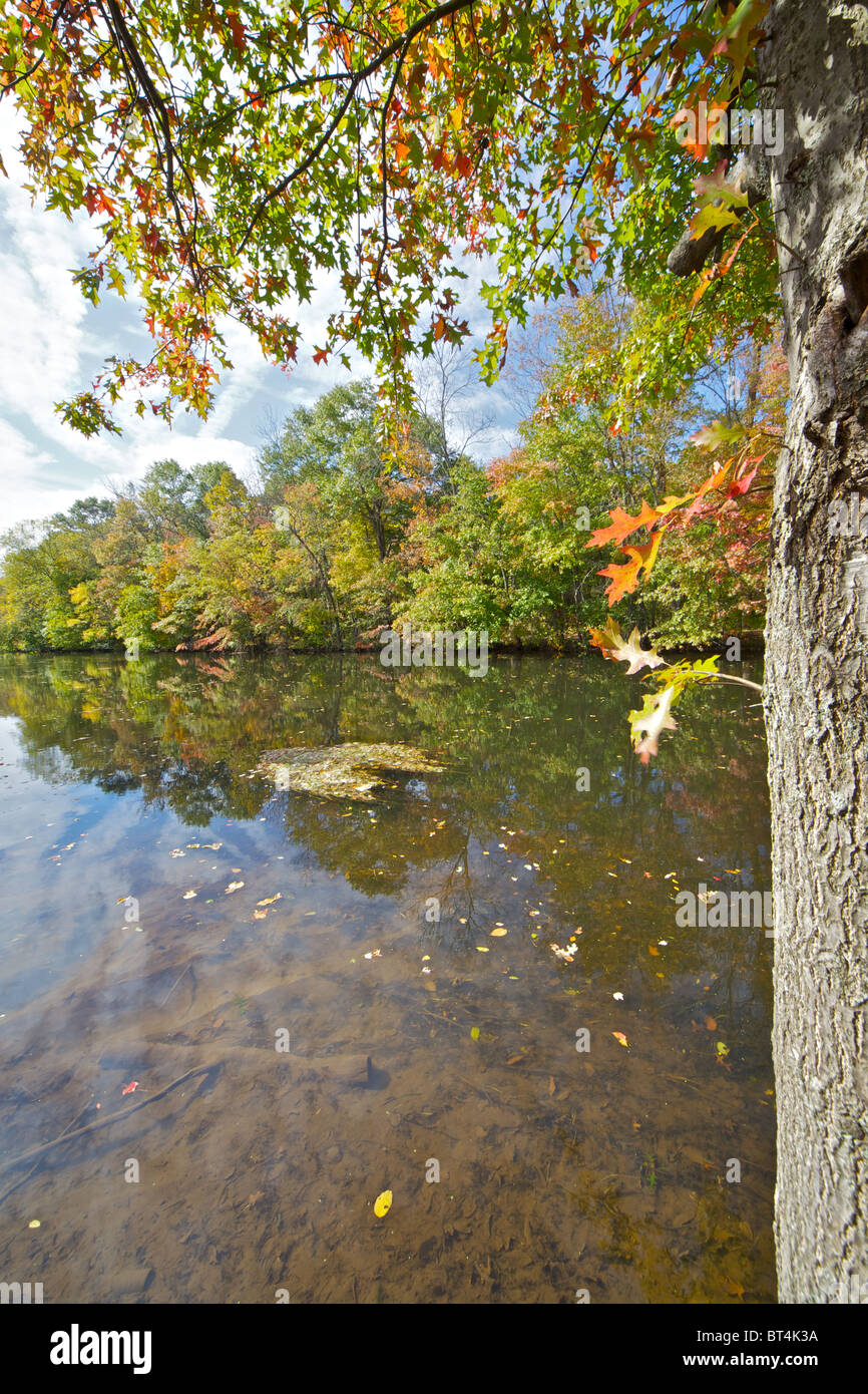 Leaf fall on canal towpath hi-res stock photography and images - Alamy