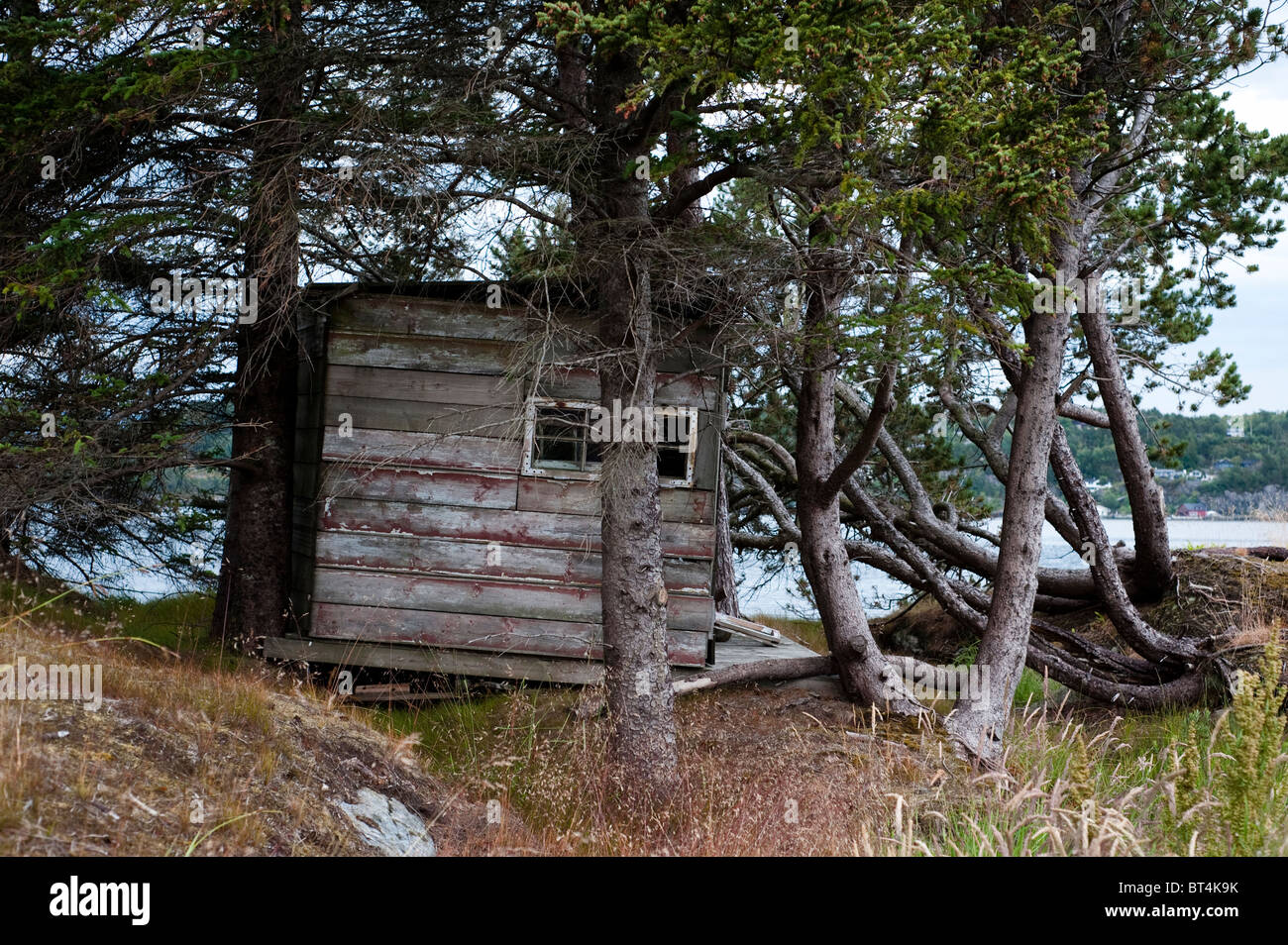 Hut between trees on island Stock Photo - Alamy