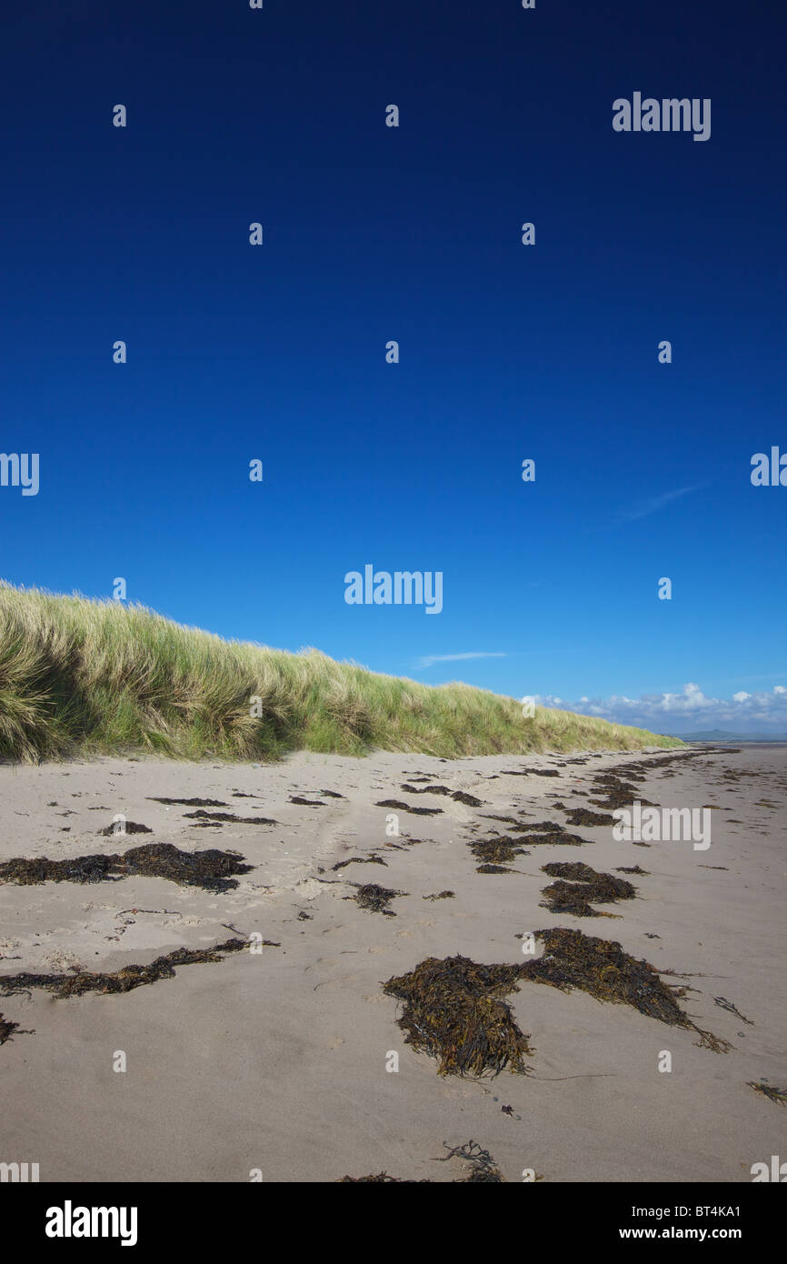 Luce Sands, bombing range and special area of conservation, The Rhins ...