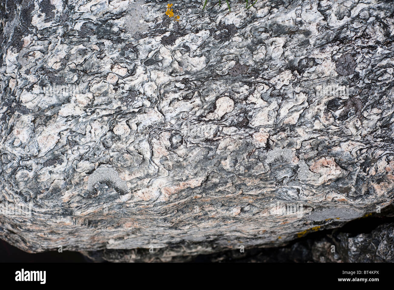 Rock with pattern Stock Photo - Alamy