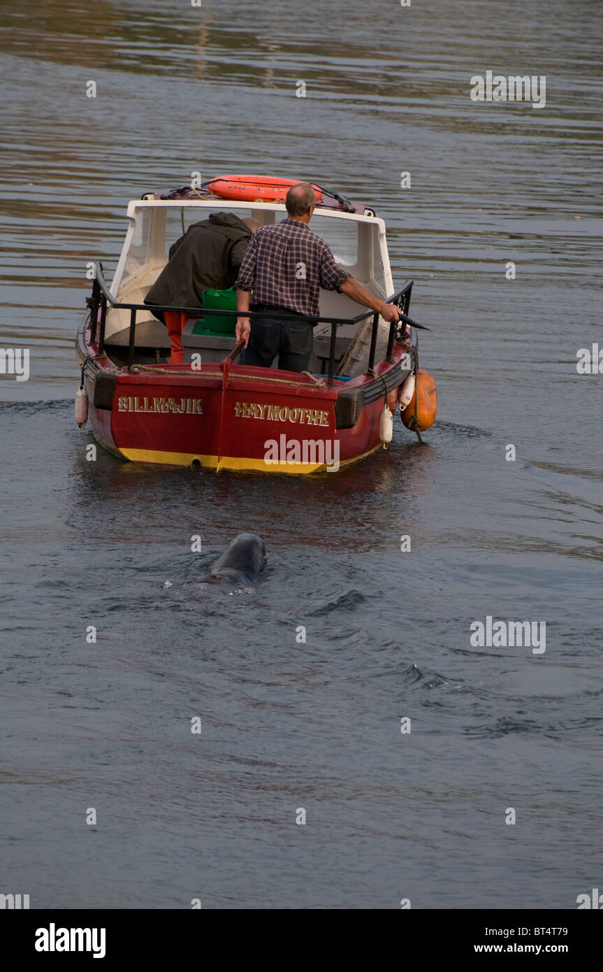 Small boat sailing into Eyemouth Harbour, South East Scotland, followed ...