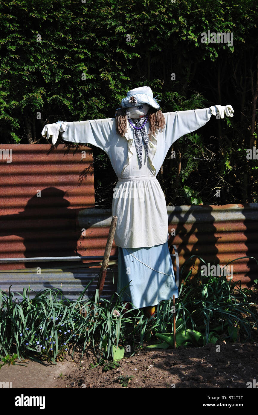 Lady scarecrow hi-res stock photography and images - Alamy