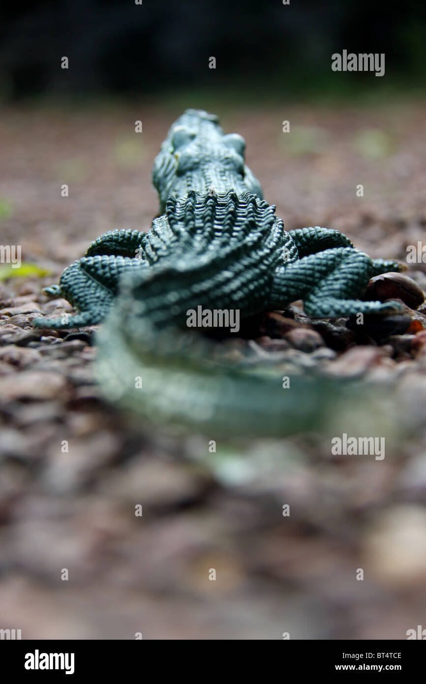 Crocodile hunt hi-res stock photography and images - Alamy