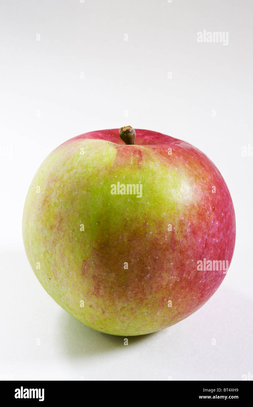 A red Cortland apple on a white background Stock Photo - Alamy