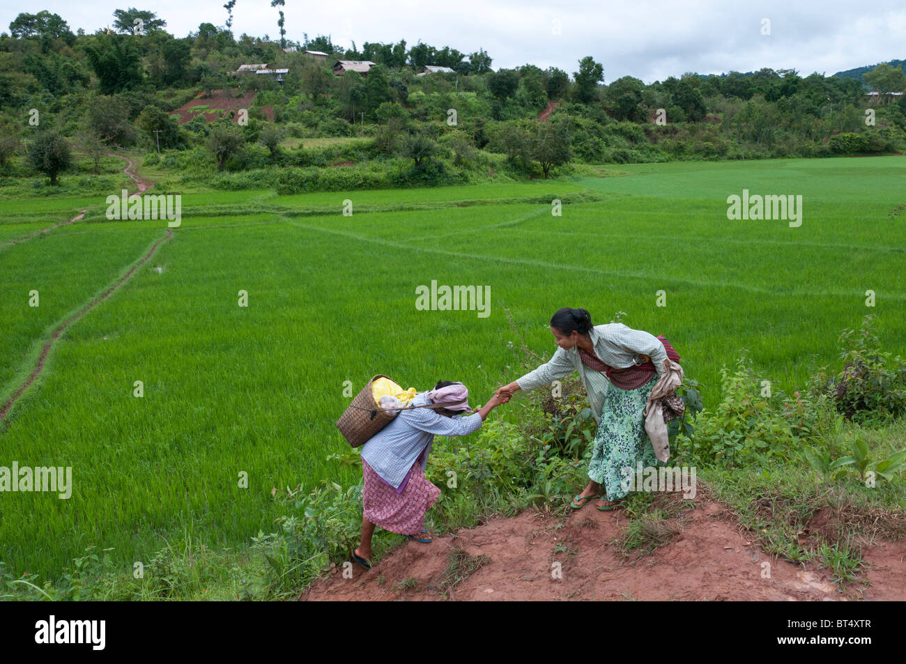 Basket load hi-res stock photography and images - Alamy