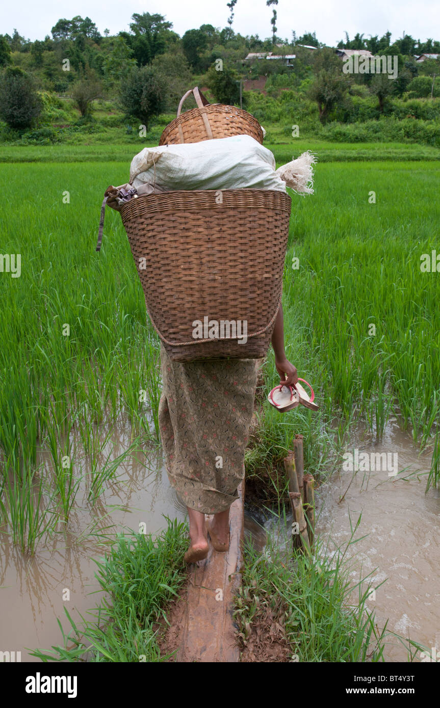Load Basket High Resolution Stock Photography and Images - Alamy
