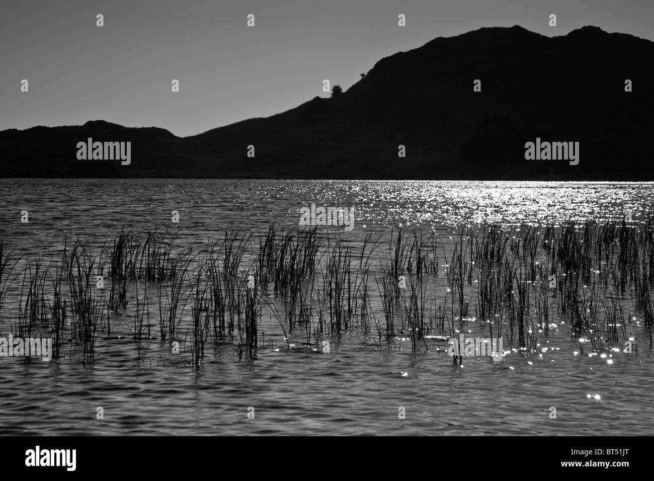 Torver common lake district hi-res stock photography and images - Alamy