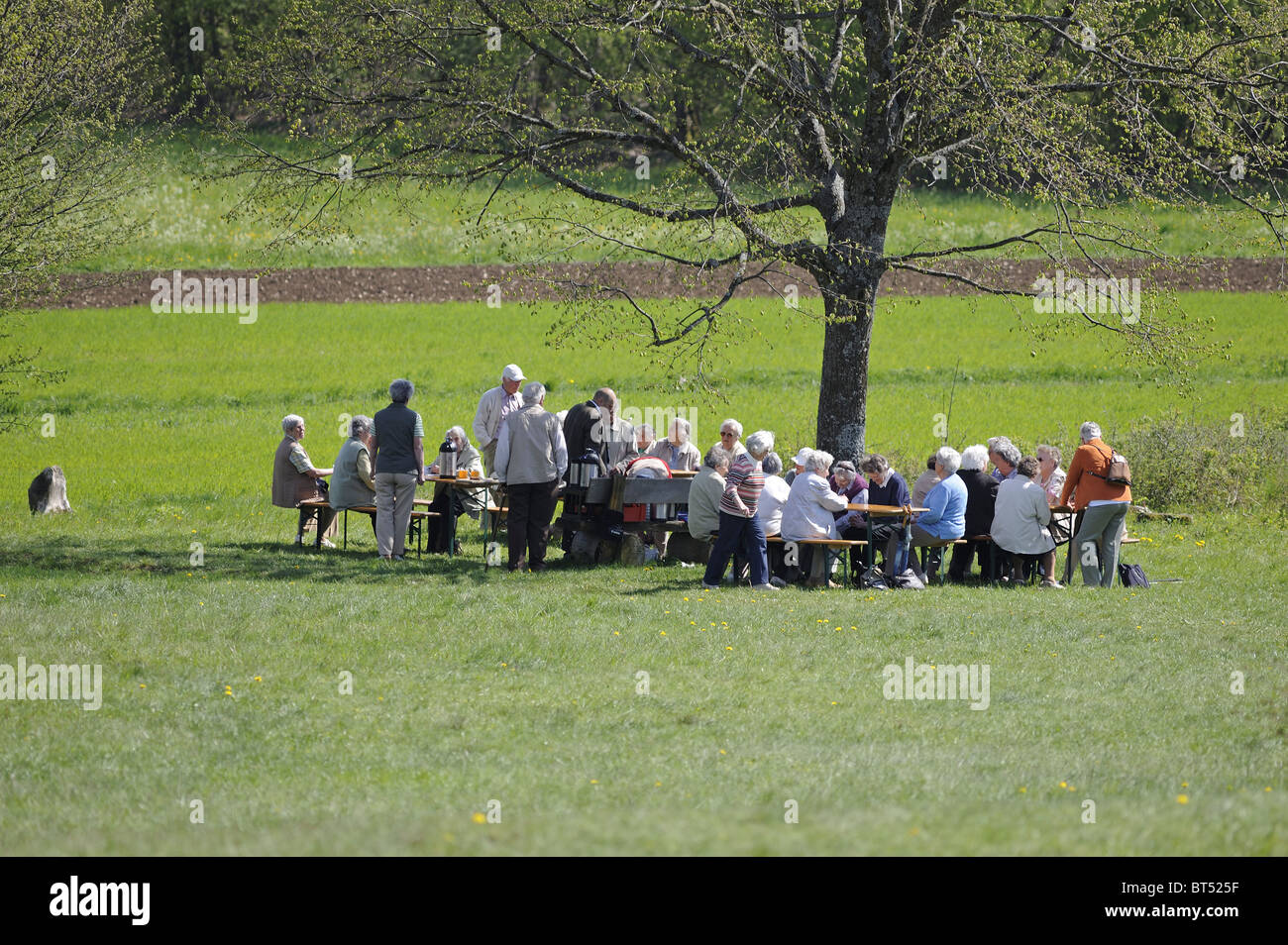Group of senior people on a summer day out Stock Photo - Alamy