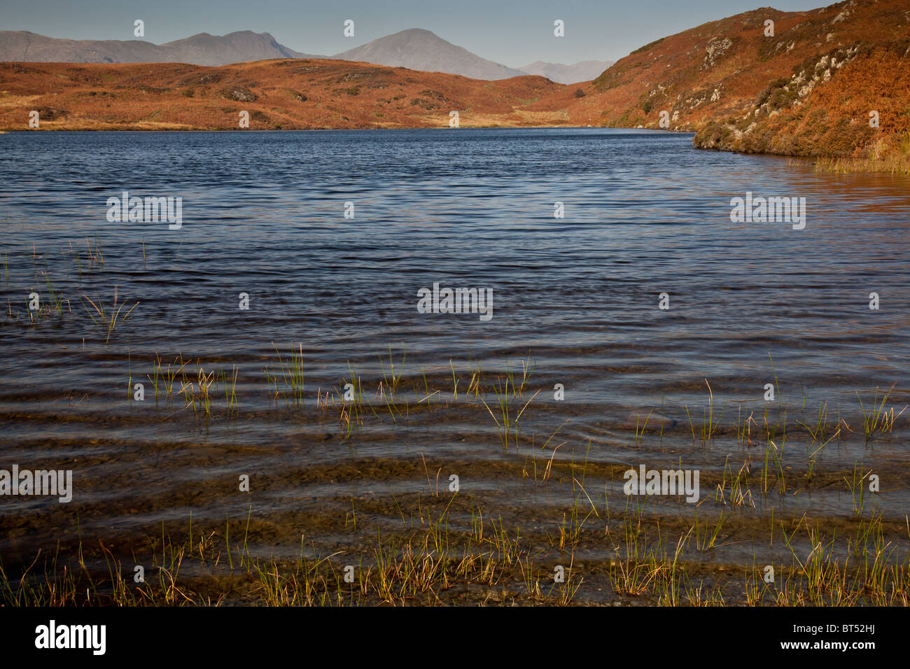 Beacon Tarn on Blawith Coomon near Torver, Coniston, Lake District ...