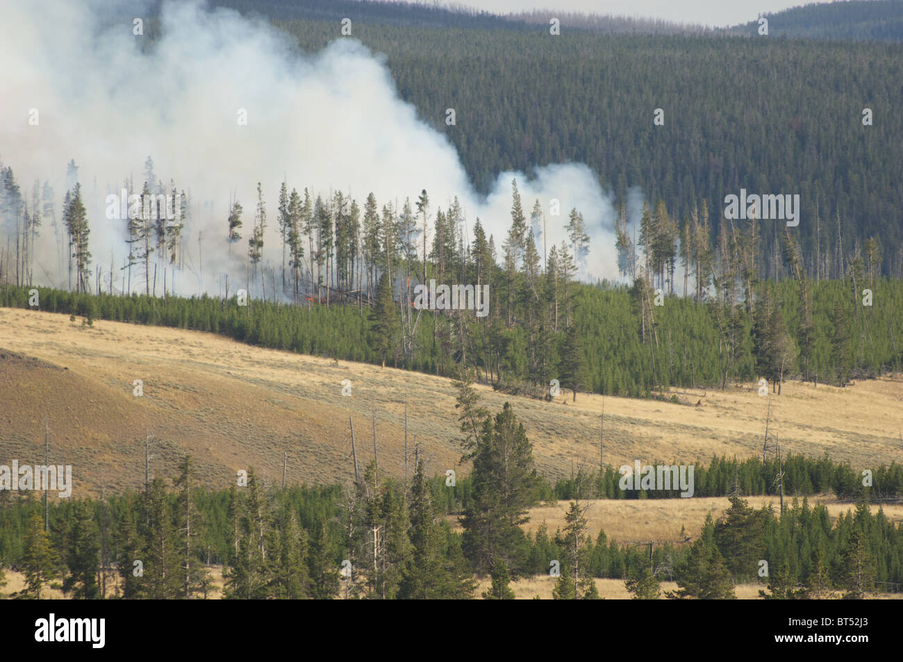 The antelope canyon fire in Yellowstone National Park 2010 Stock Photo ...