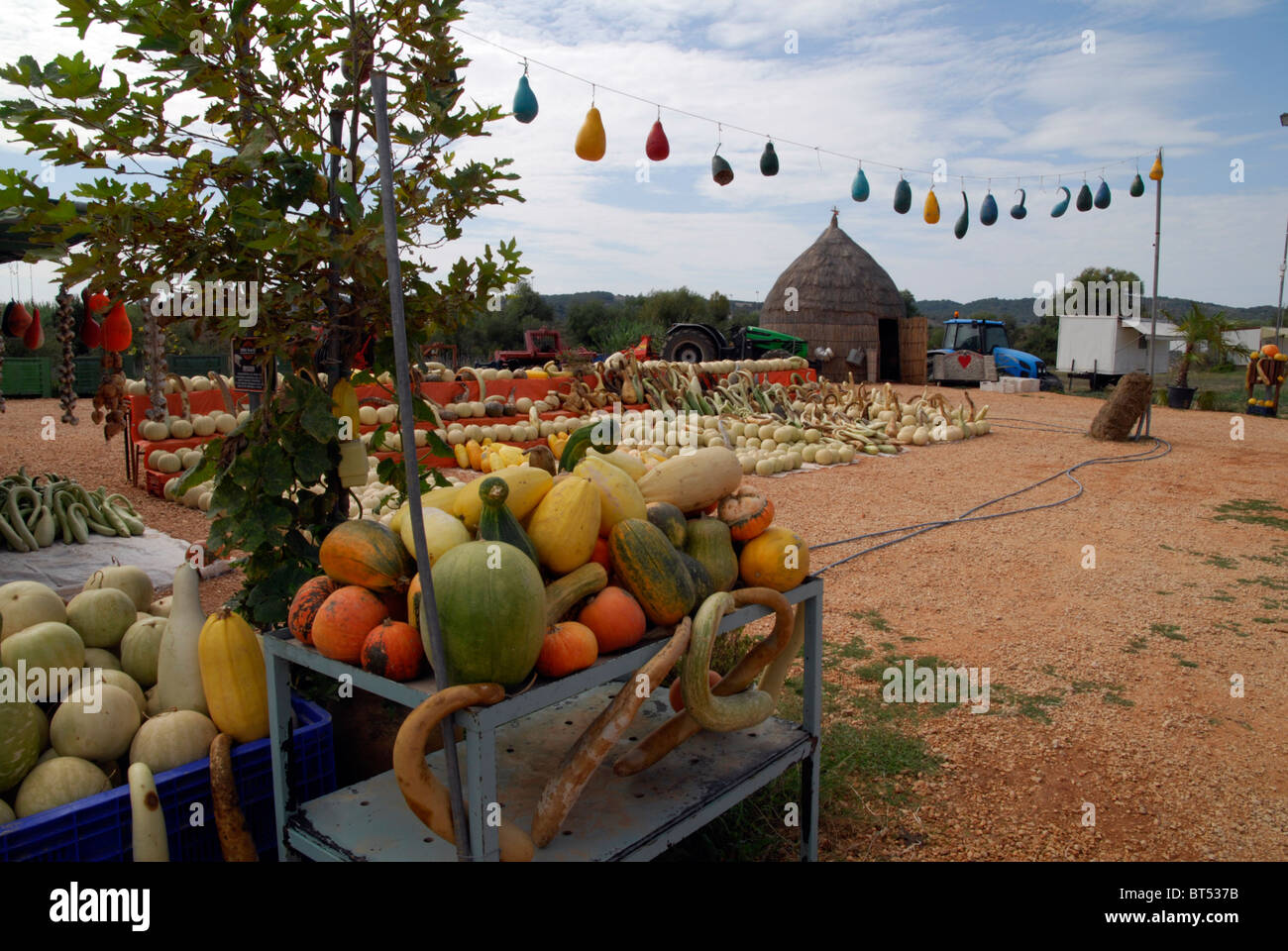 Greek fruit market vegetable hi-res stock photography and images - Alamy
