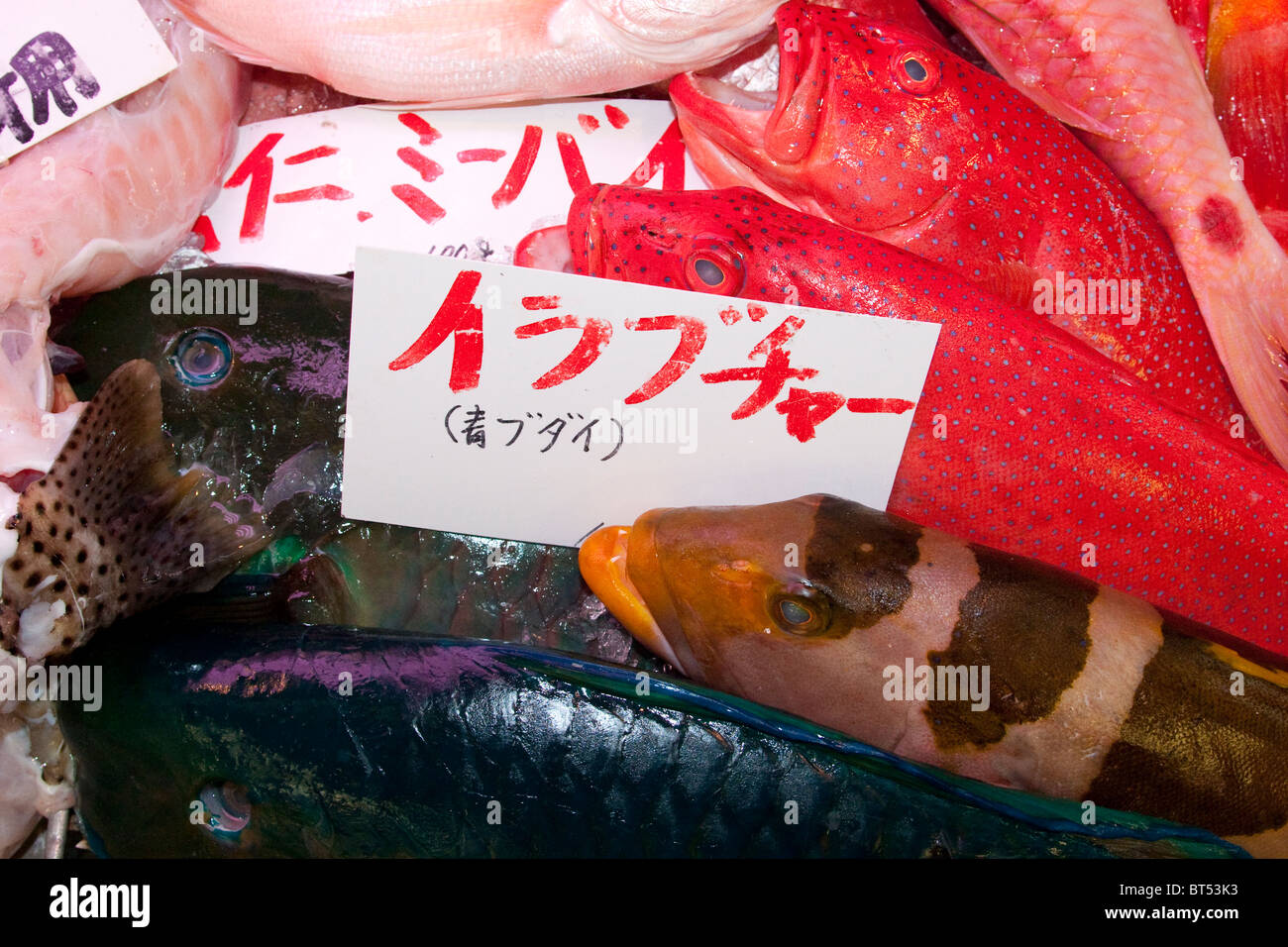 Fish at fish Makishi Market at Heiwa-Dori, Naha City in Okinawa Japan ...