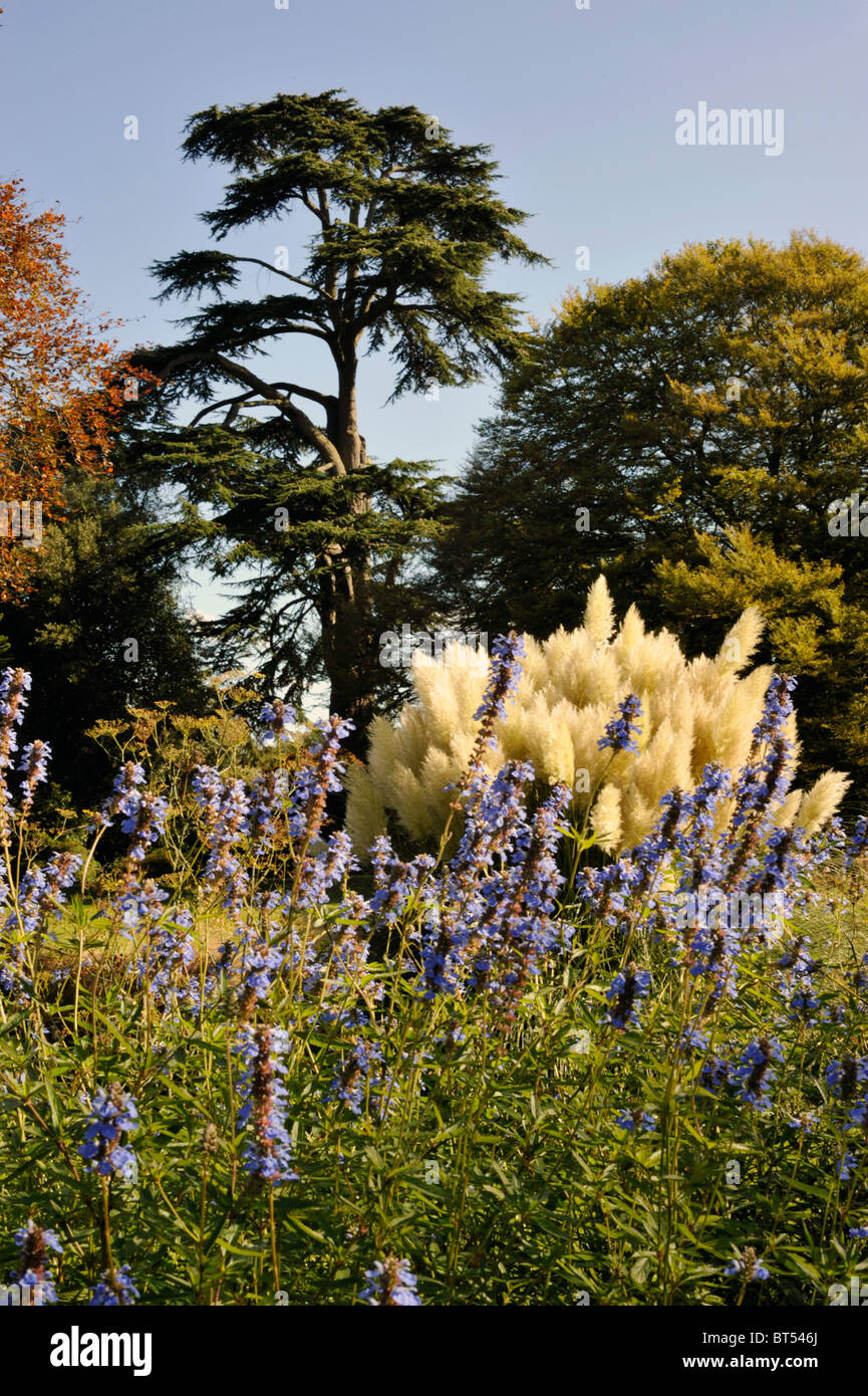 autumnal foliage on display in exbury gardens new forest england uk ...