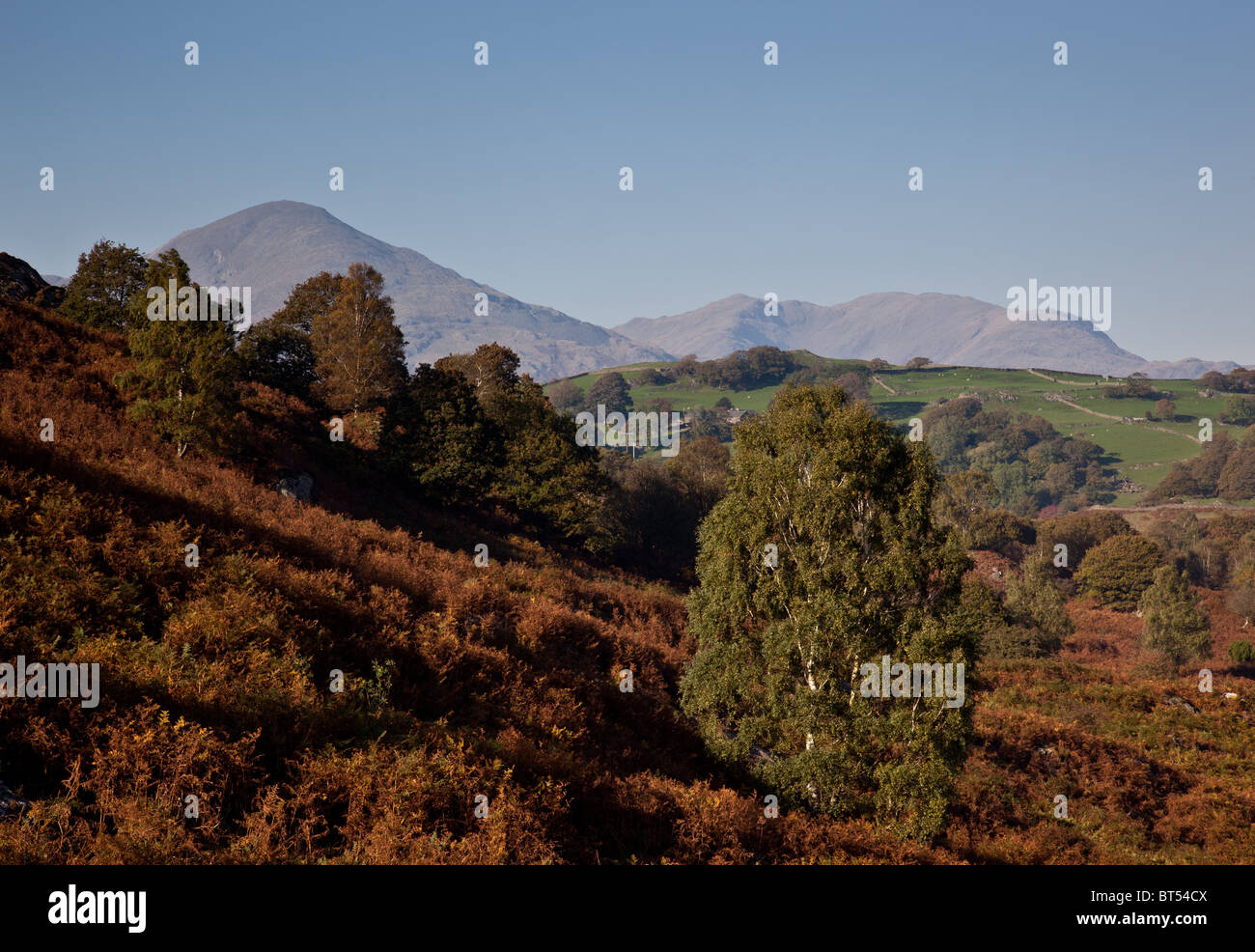 The Old Man of Coniston and Wetherlam as seen from Fairholme Green near ...