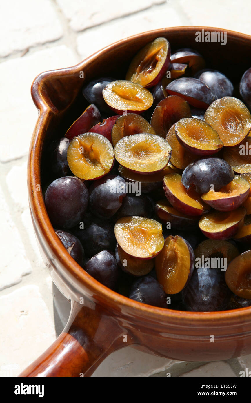 (Prunus domestica subsp. insititia) Fresh ripe Damsons, halved and de ...