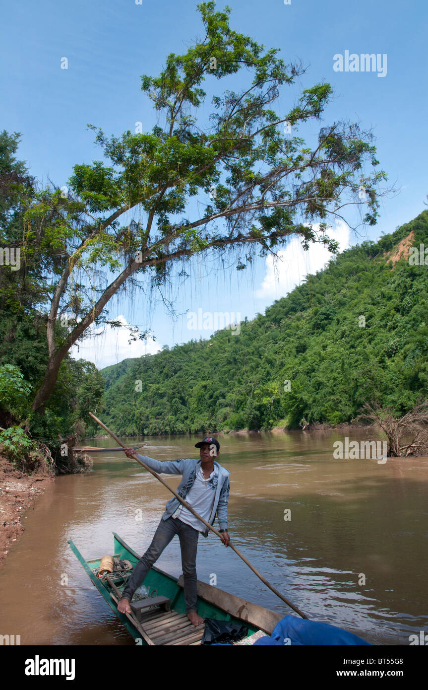 Nam nam tree hi-res stock photography and images - Alamy