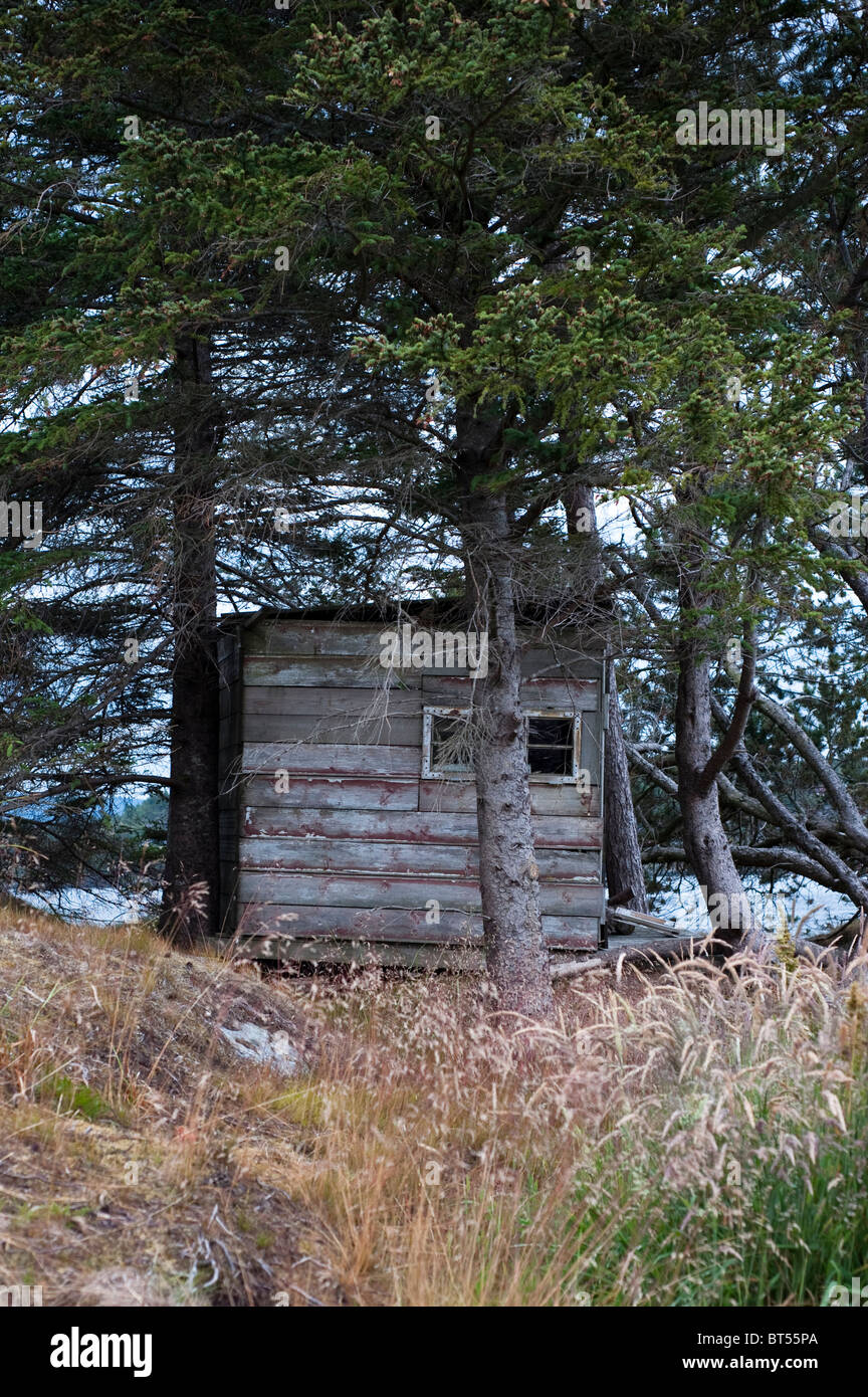 Hut between trees on island Stock Photo - Alamy