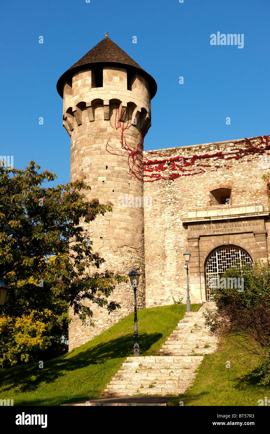 Buda Castle walls & fortifications, Budapest, Hungary Stock Photo - Alamy