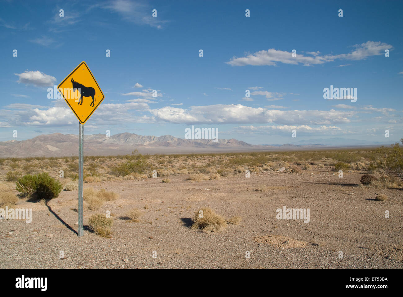 Desert Mule Warning Sign, Death Valley, California Stock Photo - Alamy