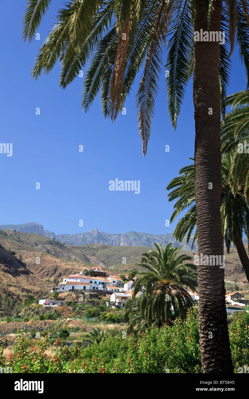 Canary Islands, Gran Canaria, Fataga Village Stock Photo - Alamy