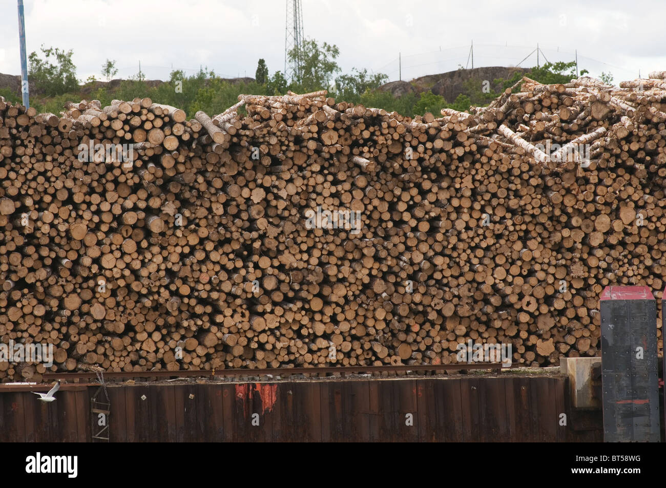 timber industry wood log logs trees yard logging export exporting ...