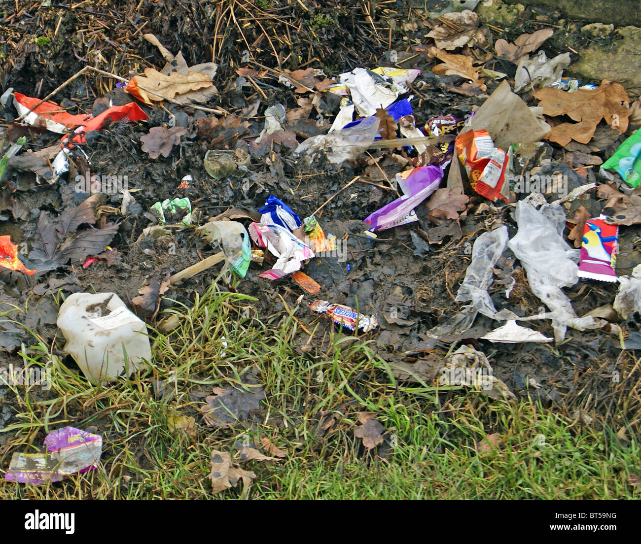 Litter amongst fallen leaves and grass Stock Photo - Alamy