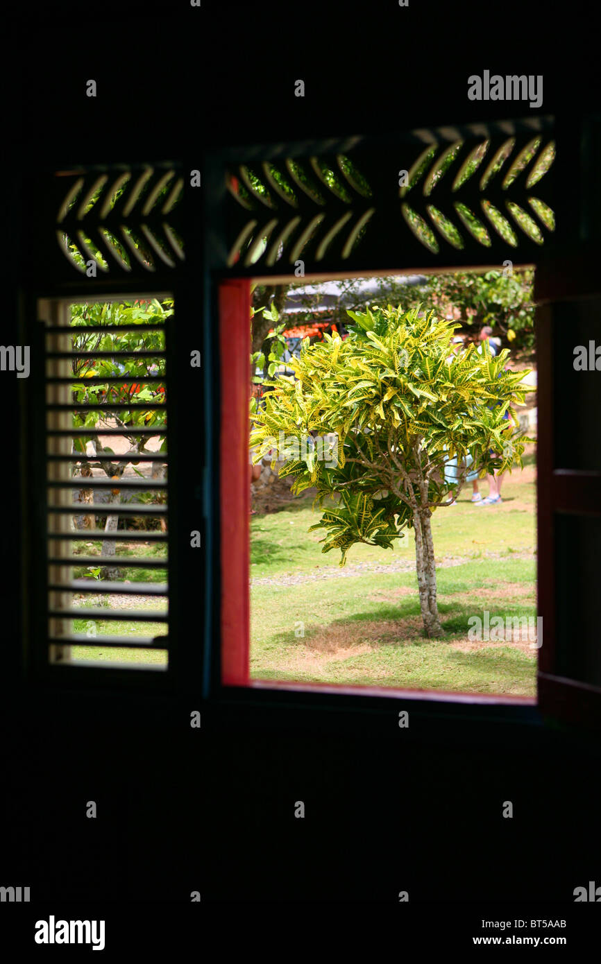View through window into garden hi-res stock photography and images - Alamy
