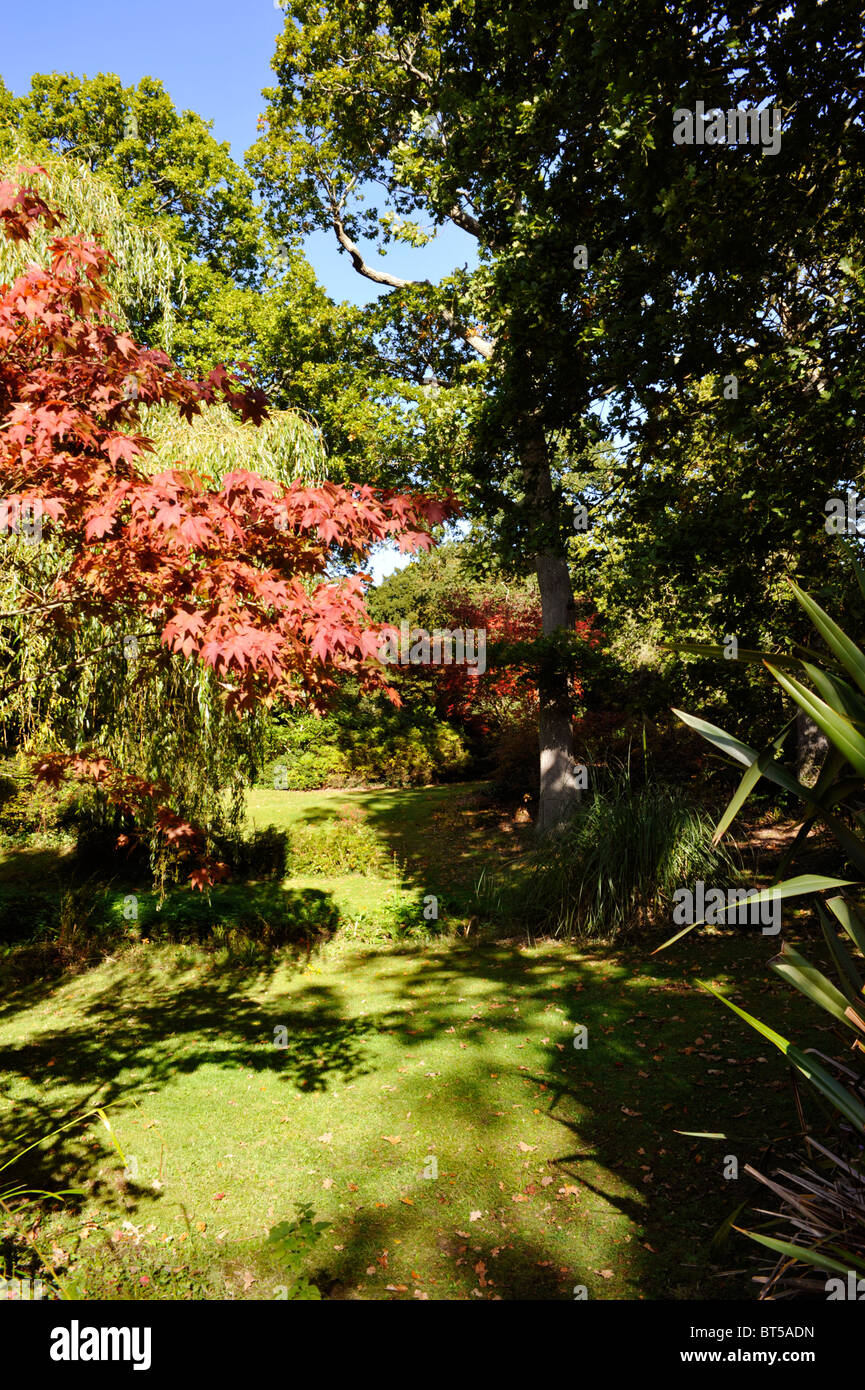 autumnal foliage on display in exbury gardens new forest england uk ...