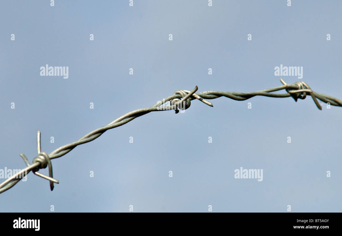 Barbed wire hi-res stock photography and images - Alamy