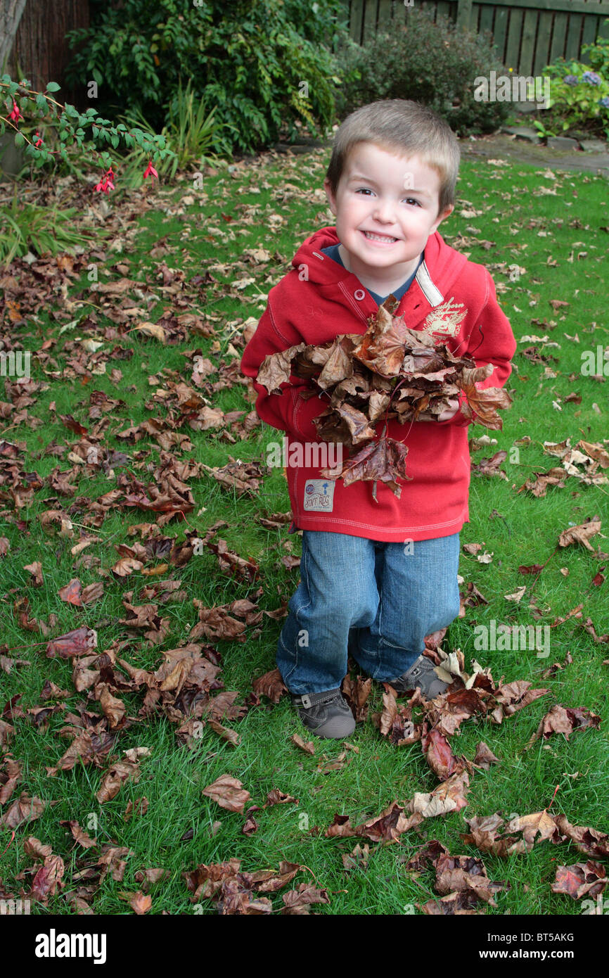 Boy with leaves in hands Stock Photo - Alamy