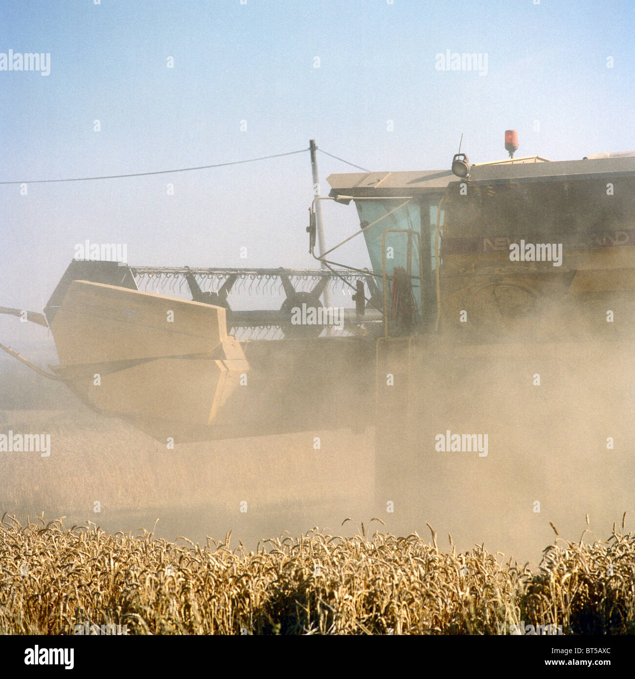 Combine harvester cutting wheat in Cambridgeshire field England Stock ...