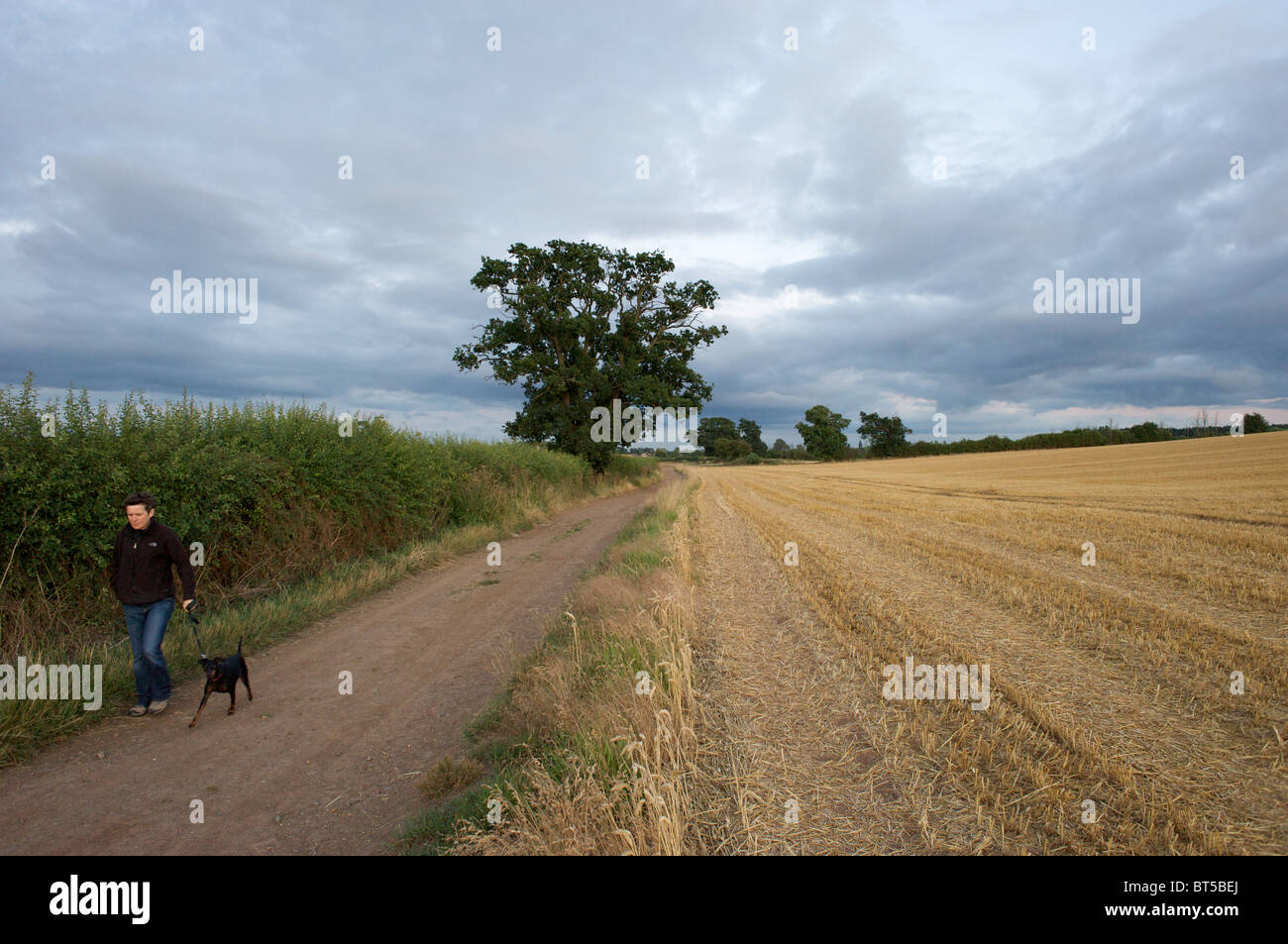Clifford Chambers Stock Photos & Clifford Chambers Stock Images - Alamy