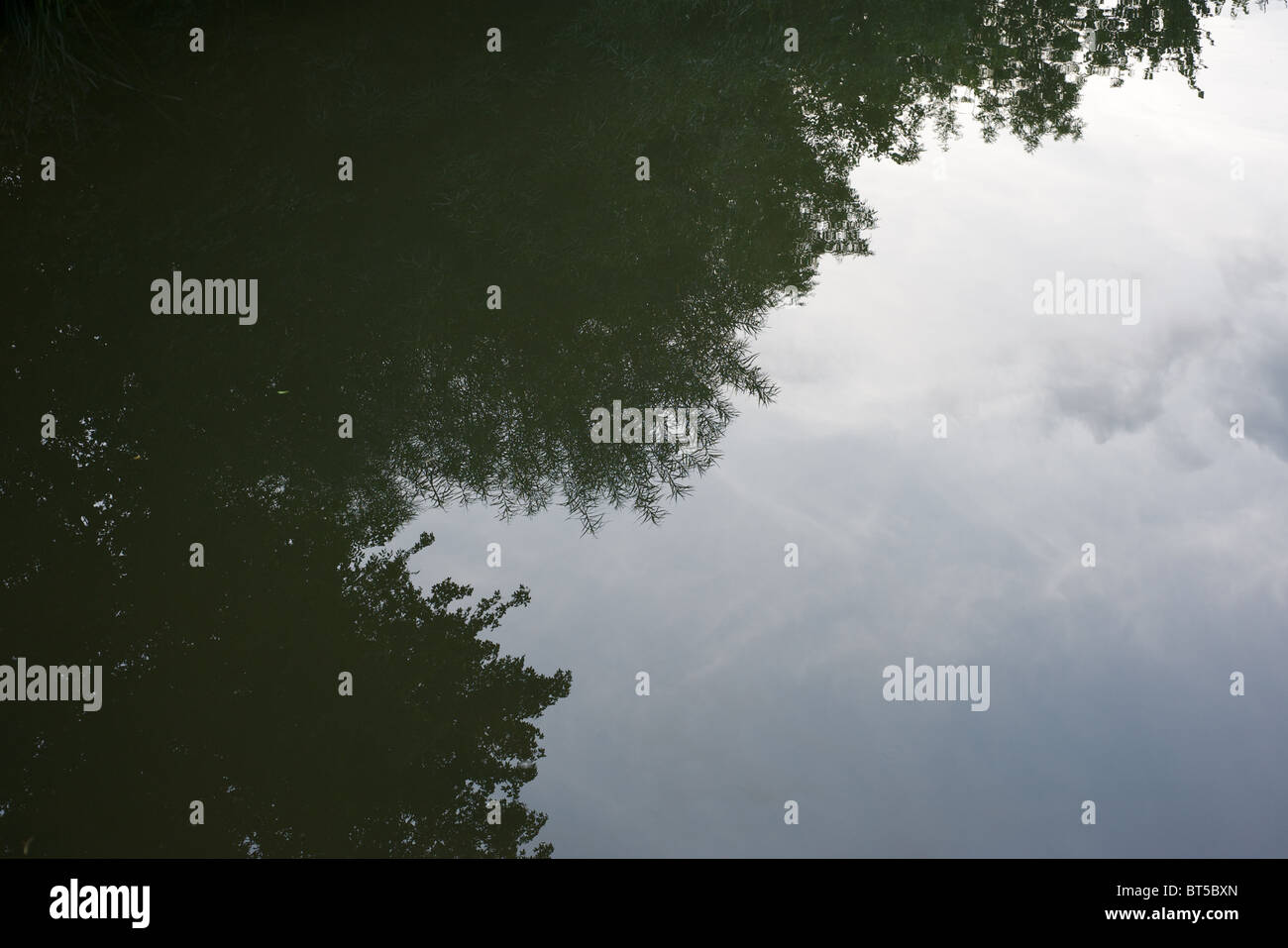 Clifford Chambers Stock Photos & Clifford Chambers Stock Images - Alamy