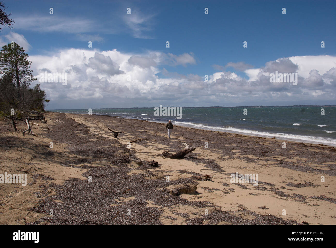 South Australia and Singapore December 2006 Stock Photo - Alamy