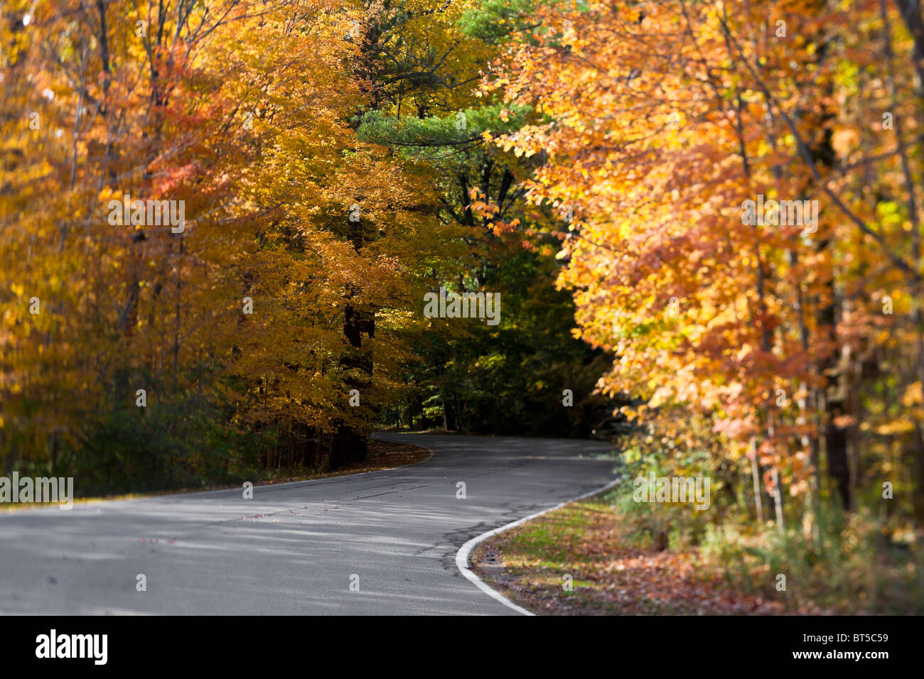 Winding road cutting thru colorful Autumn trees Stock Photo - Alamy