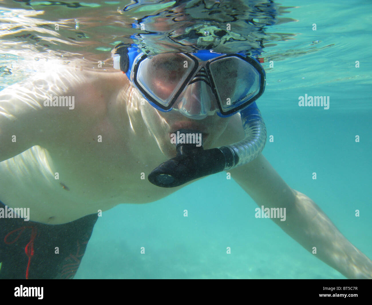 Man snorkeling underwater Stock Photo - Alamy