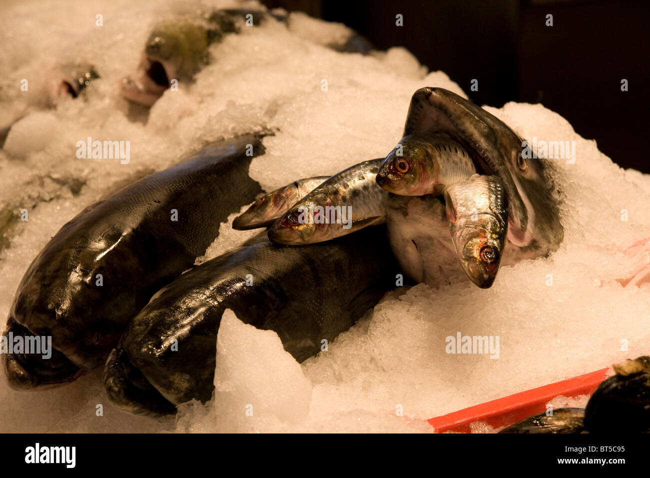 Fish Stall at Granville Island Public Market Vancouver Stock Photo - Alamy